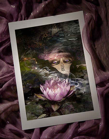 Tiger’s Promise Cover Art | Colleen Houck